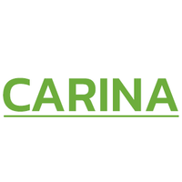 อุปกรณ์เครื่องตัดหญ้า CARINA ราคาถูก | OneStockHome