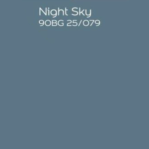 Dulux Inspire Exterior Matt Night Sky 90BG 25/079 9 | OneStockHome
