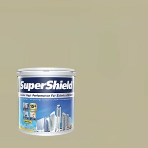 Exterior paint other colors TOA SuperShield Titanium | OneStockHome