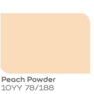 Premium grade exterior paint Dulux Easy Care Semi-gloss | OneStockHome