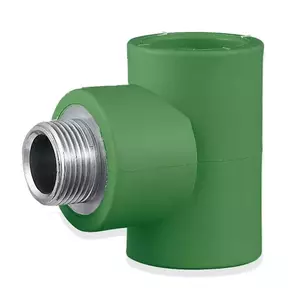 Tee PPR 1/2 inch SCG Male Tee PPR 25 mm 1/2-inch cheap | OneStockHome