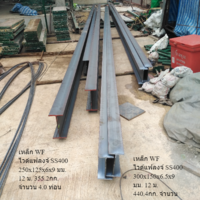 จำหน่าย เหล็ก WF ไวด์แฟรงค์ 300x150 ราคาโรงงาน | OneStockHome