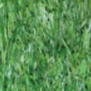 หญ้าเทียม หญ้าสนาม หญ้าเทียม SCG เอสซีจี อีซี่ กราส | OneStockHome