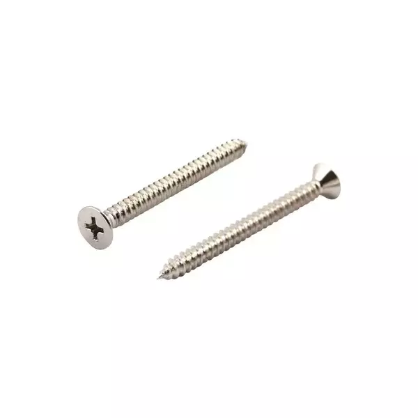 TAPPING SCREW 10X2" TF 25EA Best Price | OneStockHome