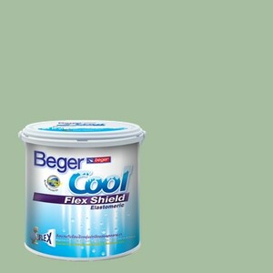 Premium grade exterior paint BegerCool Flex Shield | OneStockHome