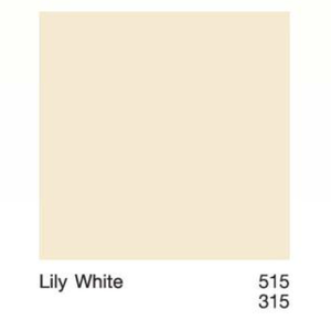สีทาภายนอก สีขาว ดูลักซ์ ซูเปอร์โคท สีทาภายนอก สี Lily | OneStockHome