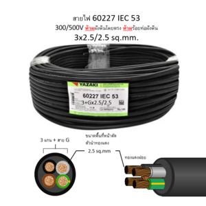 สายไฟ IEC53 / IEC53-G สายไฟ IEC 53-G 300/500V 3x2.5/2.5 | OneStockHome