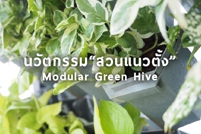 Modular green hive นวัตกรรมสวนแนวตั้ง เพื่อคนรักต้นไม้ | OneStockHome