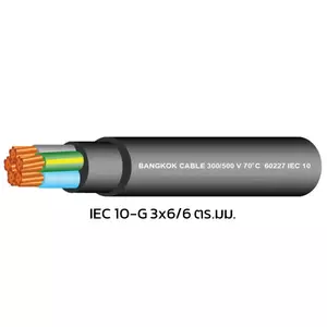 สายไฟ IEC 10-G 3x6/6 ตร.มม. BCC ราคาถูก | OneStockHome
