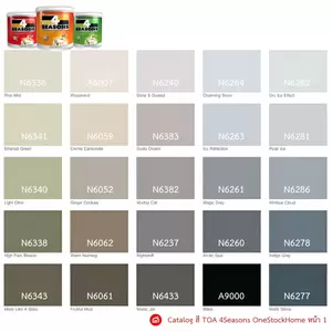 (N6059) สี TOA สีน้ำโฟร์ซีซั่นส์ ชนิดด้าน ภายนอก สี | OneStockHome