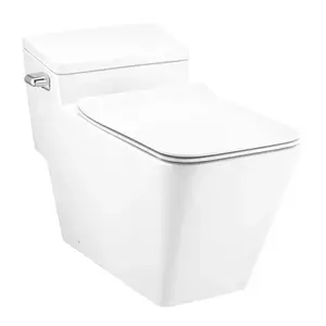 สุขภัณฑ์ชิ้นเดียว เฉพาะโถ COTTO C63107 4.8 ลิตร ชิมพลิ | OneStockHome