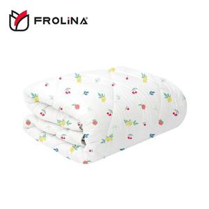 ผ้านวม FROLINA MICROTEX 60x80 นิ้ว DF044 ราคาถูก | OneStockHome