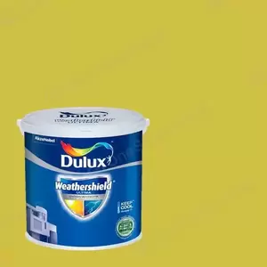#70YY 53/638 Dulux Weathershield Ultima Semi-Gloss | OneStockHome