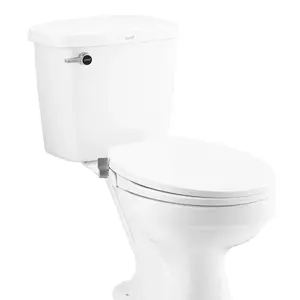 สุขภัณฑ์อัตโนมัติ COTTO C186(CN3) 6 ลิตร รุ่น ธัญย่า | OneStockHome