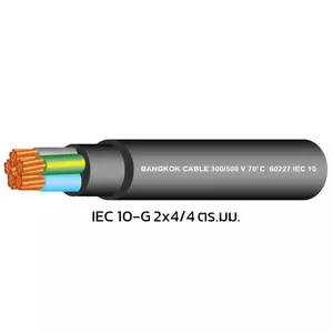 สายไฟ IEC 10-G 2x4/4 ตร.มม. BCC ราคาถูก | OneStockHome