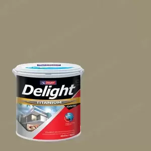 #165-5 สีเบเยอร์ ดีไลท์ ไทเทเนียม ภายนอก Dusty Trail | OneStockHome