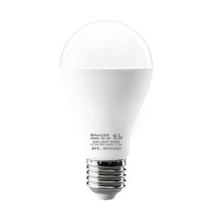 LAMP LED A65 KIMMIE 18.5W DL E27 RAC Best Price | OneStockHome