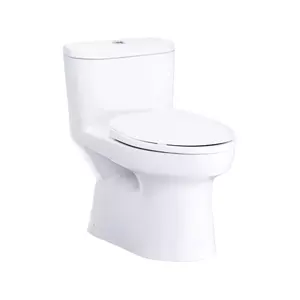 สุขภัณฑ์ชิ้นเดียว COTTO C1015 3/4.5 ลิตร สีขาว ราคาถูก | OneStockHome