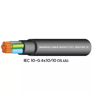 สายไฟ IEC 10-G 4x10/10 ตร.มม. BCC ราคาถูก | OneStockHome