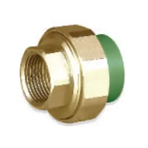 SCG Female Union Brass PPR 63 mm x2 inch cheap price | OneStockHome