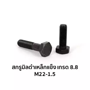 น็อตตัวผู้ หัวหกเหลี่ยม เกรด 8.8 เกลียวเต็ม M22-1.5 x | OneStockHome