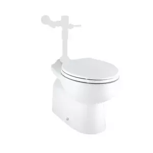Flush valve toilet American Standard 2490-WT New Sibia | OneStockHome