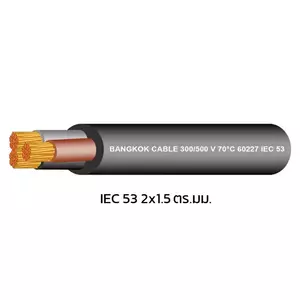 สายไฟ IEC 53 2x1.5 ตร.มม. สีดำ BCC ราคาถูก | OneStockHome
