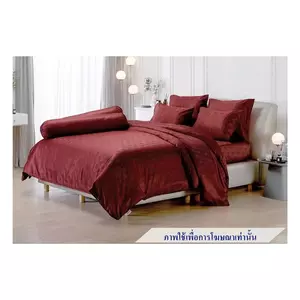 ผ้าปู Q5 TULIP MICRO JQ 01076-TJ006 ราคาถูก ส่งทั่วไทย | OneStockHome