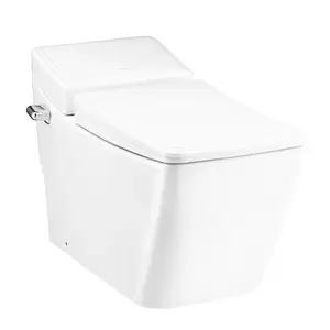 สุขภัณฑ์ชิ้นเดียว เฉพาะโถ COTTO C63137 6 ลิตร ธารธารา | OneStockHome