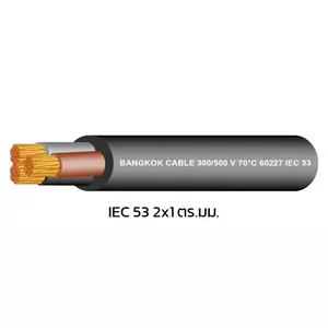สายไฟ IEC 53 2x1 ตร.มม. สีดำ BCC ราคาถูก | OneStockHome