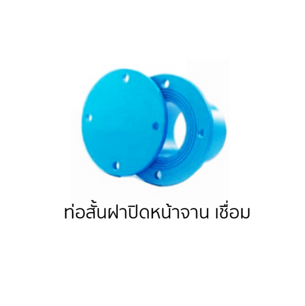 Clean Out with Flange W SCG cheap price | OneStockHome