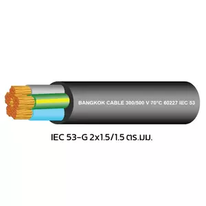 สายไฟ IEC53 / IEC53-G สายไฟ IEC 53-G 300/500V 2x1.5/1.5 | OneStockHome