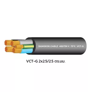 สายไฟ VCT-G 450/750V 2x2.5/2.5 ตร.มม. BCC 100 เมตร | OneStockHome