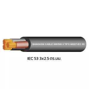 สายไฟ IEC53 / IEC53-G สายไฟ IEC 53 300/500V 3x2.5 | OneStockHome