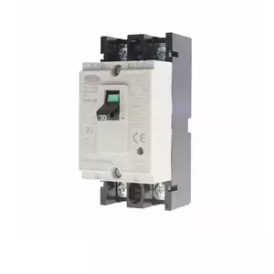 เมนเบรกเกอร์ 2P 30A รุ่น NF30-CW | OneStockHome