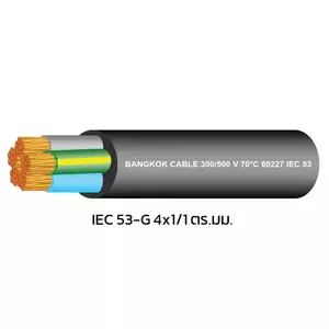 สายไฟ IEC53 / IEC53-G สายไฟ IEC 53-G 300/500V 4x1/1 | OneStockHome