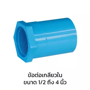 ข้อต่อเกลียวใน PVC ขนาด 2 1/2 นิ้ว DSAI ราคาถูก | OneStockHome
