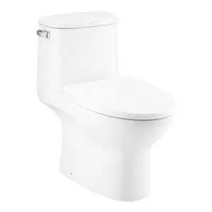COTTO C10531 with C91252 ชักโครก สุขภัณฑ์ชิ้นเดียว | OneStockHome