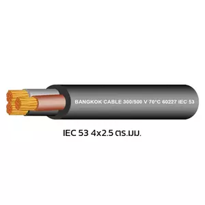 สายไฟ IEC 53 4x2.5 ตร.มม. สีดำ BCC ราคาถูก | OneStockHome